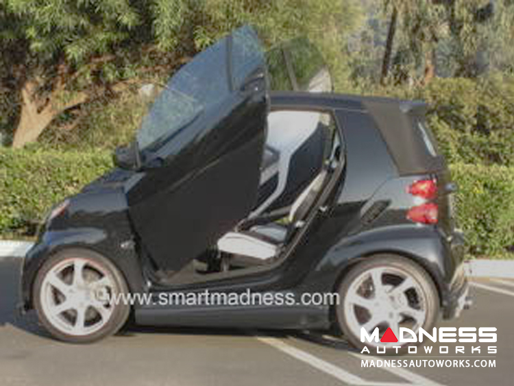2008 Custom smart car white & black - Customization